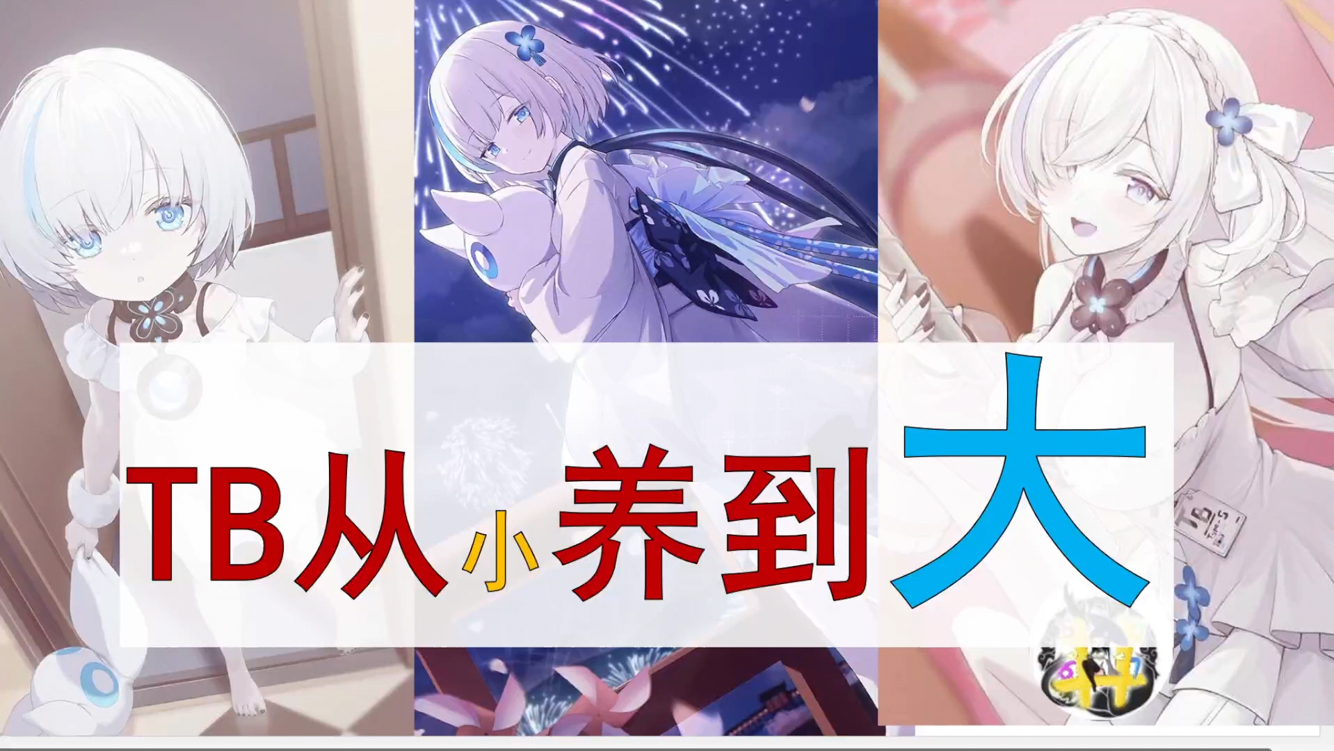 【碧蓝航线】TB从小养到大！详细养成攻略！（TB养成计划1.0）-青提不吃肥-航线-哔哩哔哩视频