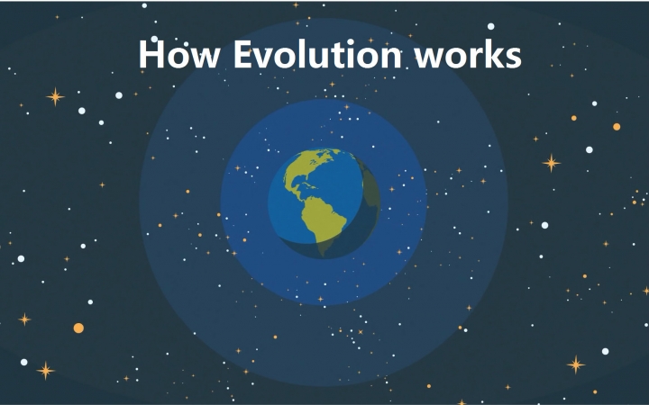 【In a Nutshell Kurzgesagt】【熟肉/慌得要死】E1 How Evolution works_哔哩哔哩_bilibili