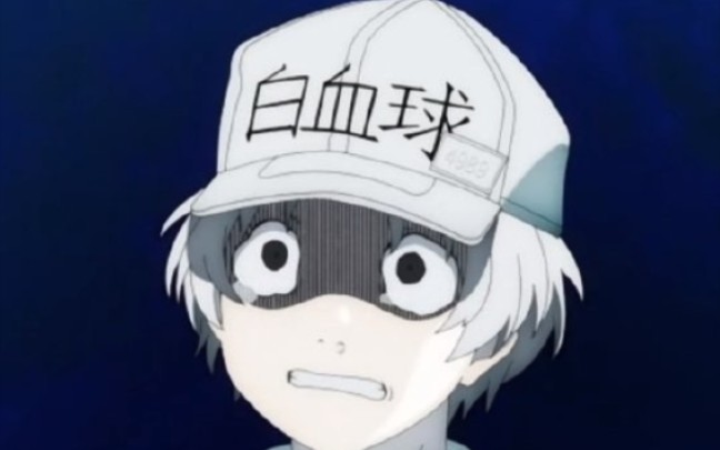 4989也太可爱了_哔哩哔哩_bilibili