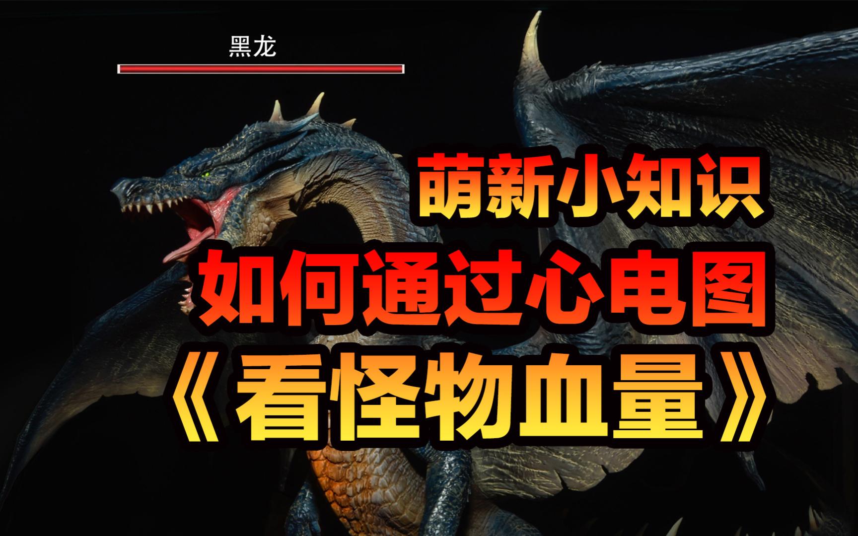 【MHWI】怪猎冰原 最新显血插件Hunterpie，可看怪物大小金