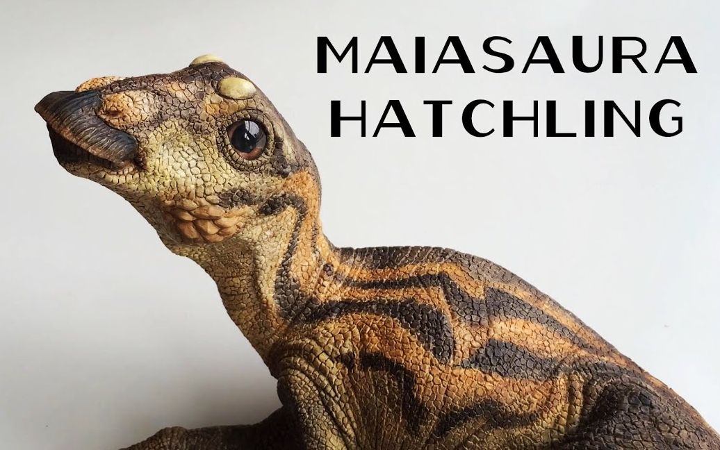 Kayakasaurus / 制作展示比例小恐龙幼崽_哔哩哔哩 (゜-゜)つロ 干杯~-bilibili