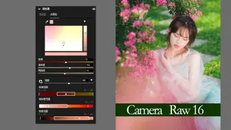 【Ai配置文件】Adobe Camera Raw 17.0 重要更新（附公开下载链接）_哔哩哔哩_bilibili