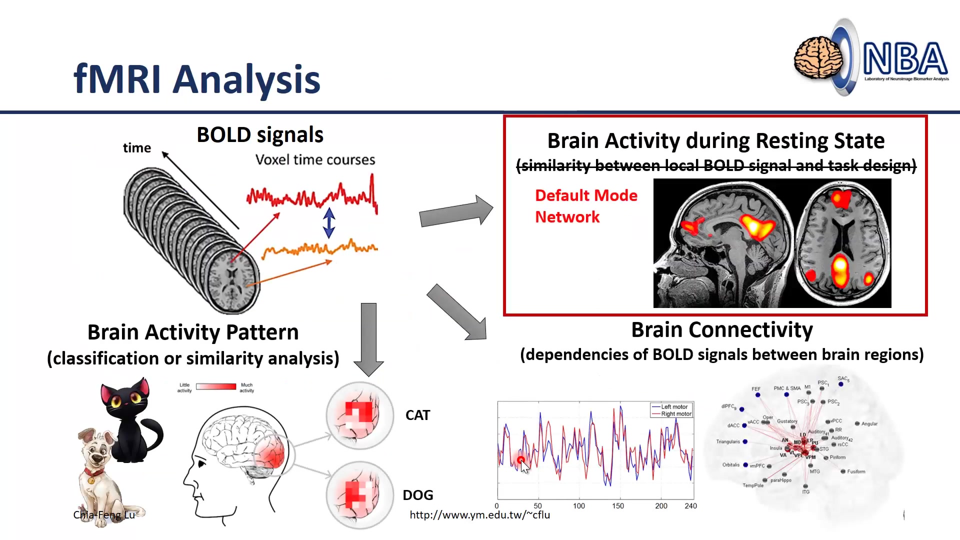 [脑机搬运工]fMRI Analysis_哔哩哔哩_bilibili