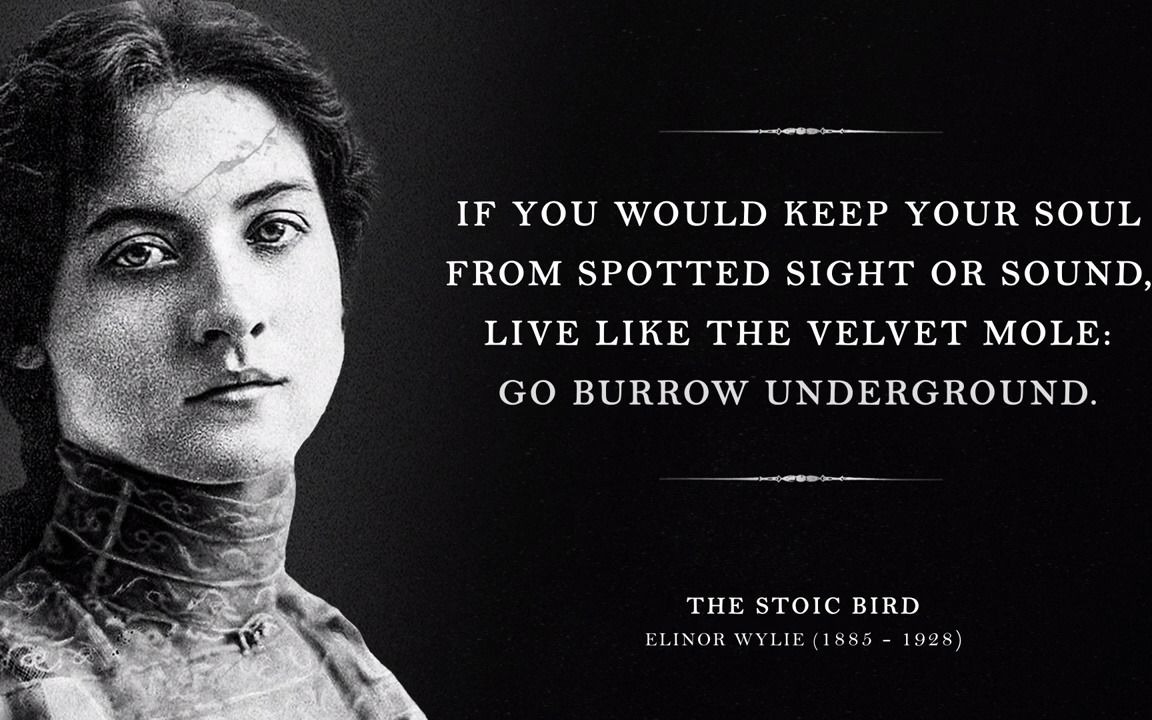 The Stoic Bird by E. Wylie (Powerful Life Poetry)_哔哩哔哩_bilibili