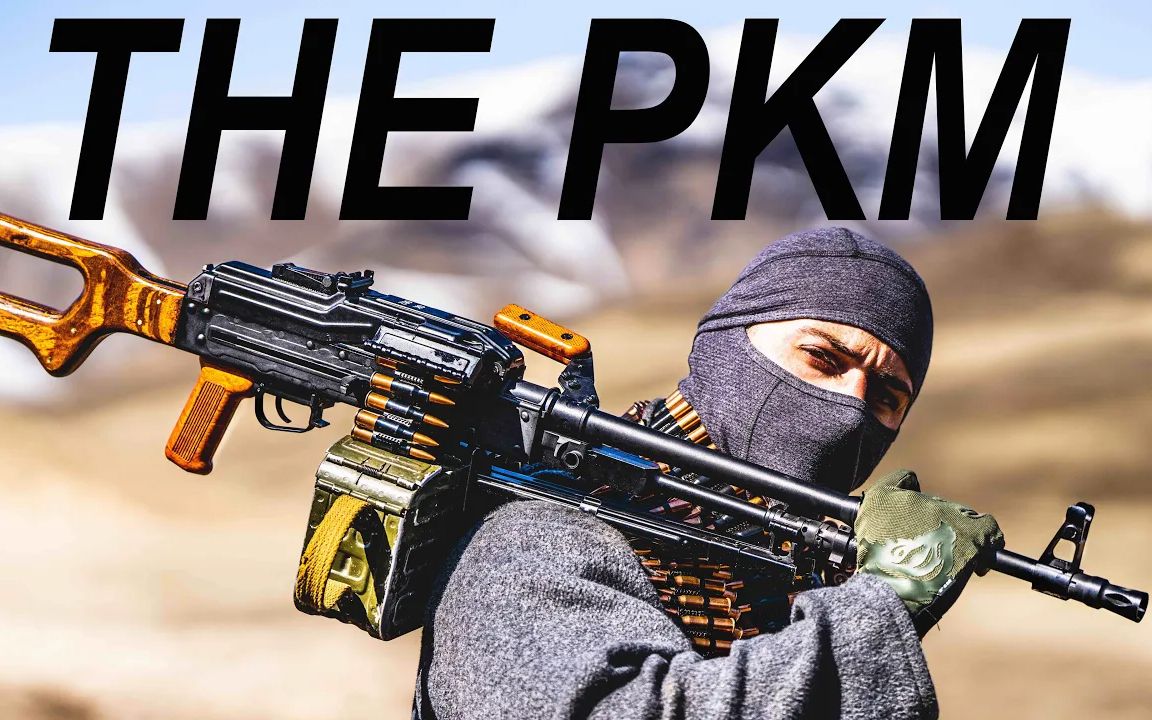 HK G27 一把无论颜值还是性能都无可挑剔的步枪-TheSoviell-军事-哔哩哔哩视频