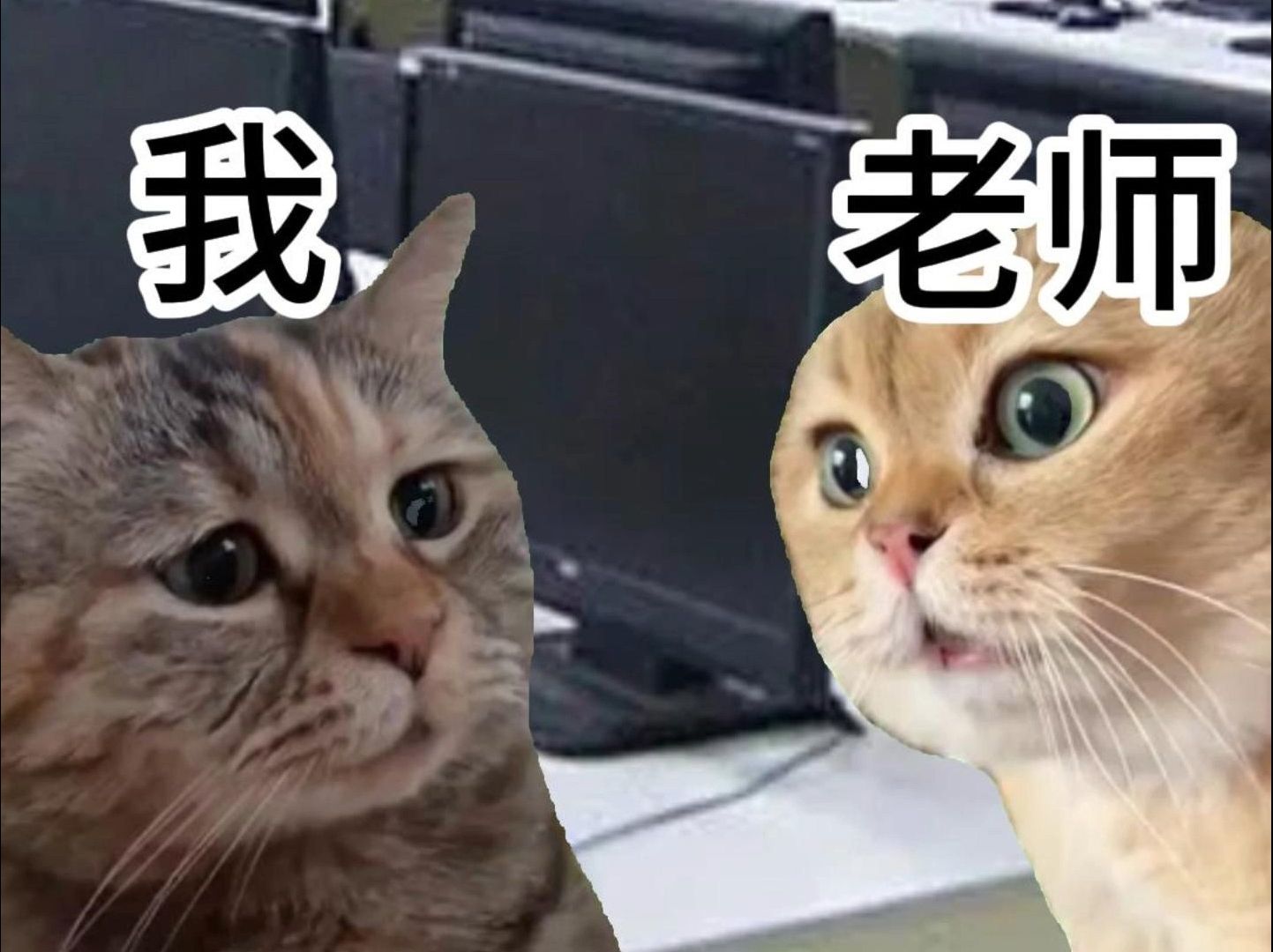 你为什么只写了头文件？-改BUG的TOM学长-改BUG的TOM学长-哔哩哔哩视频