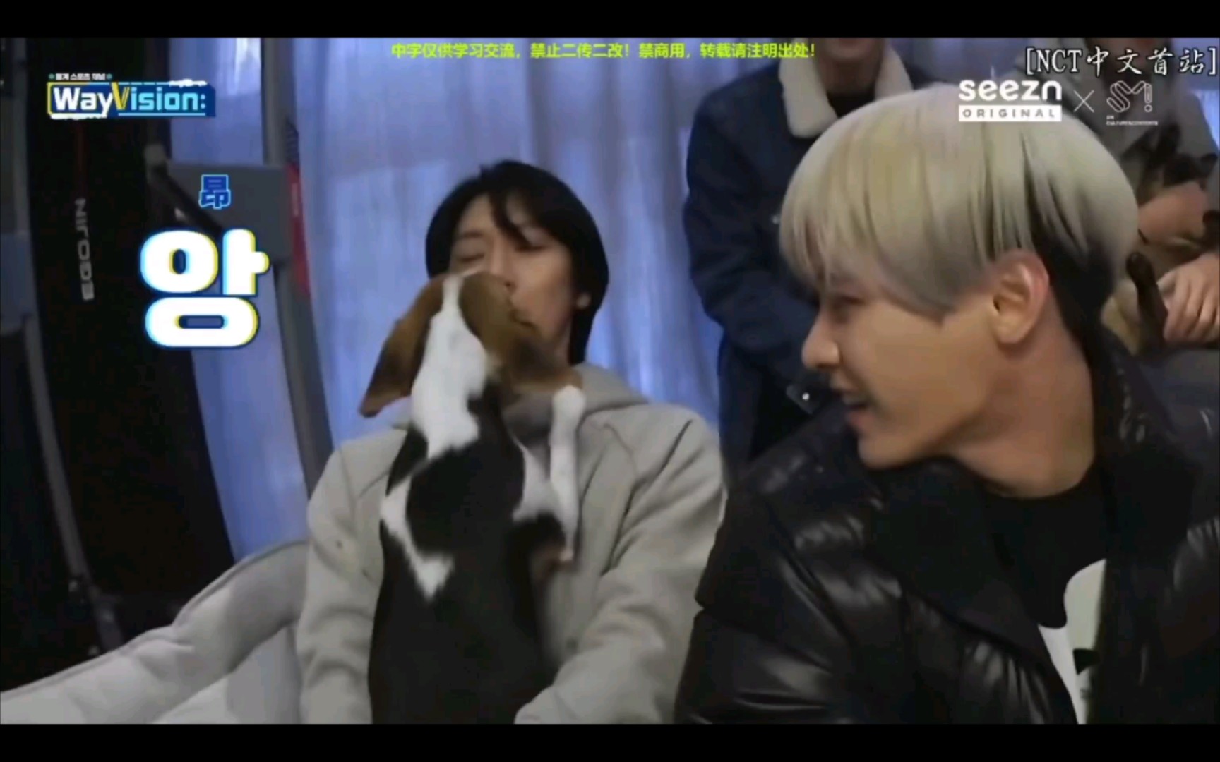 【WayV】【威神V】Bella公主的kiss养成记_哔哩哔哩_bilibili