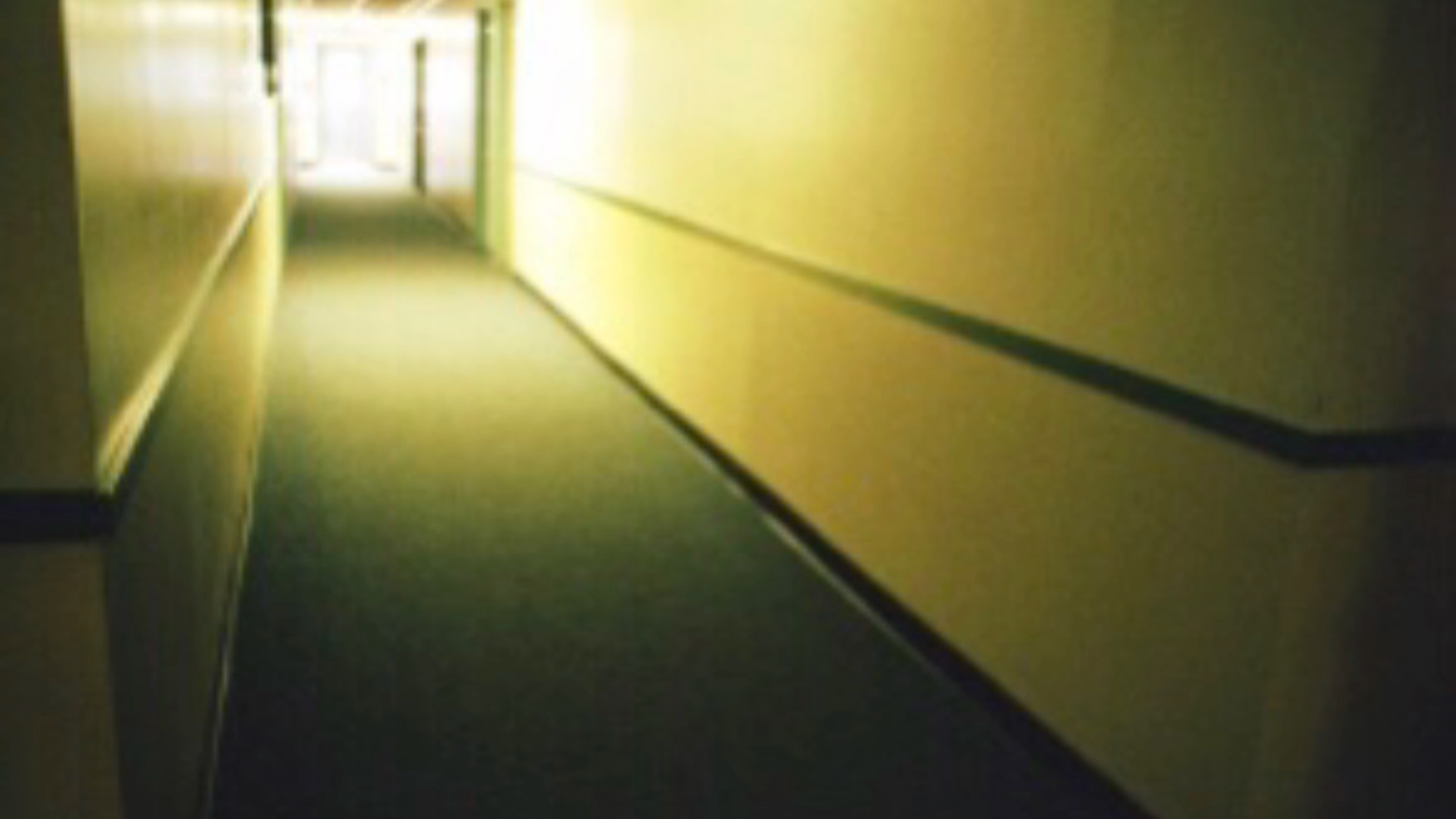 【The backrooms】W版生存难度等级宜居层级强度排行