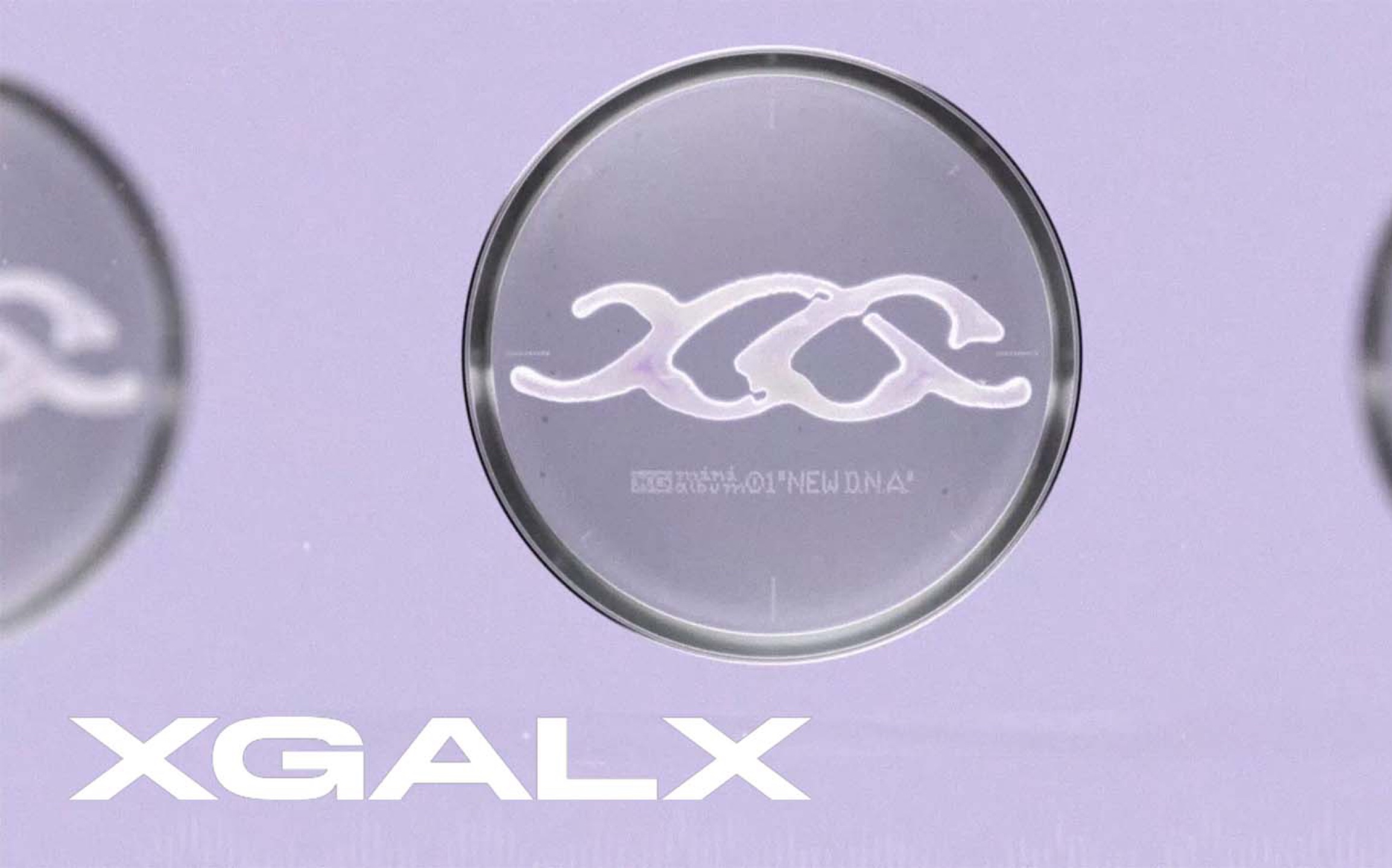 XG - NEW DNA (Visualizer)-XGALX_XG-XGALX_XG-哔哩哔哩视频