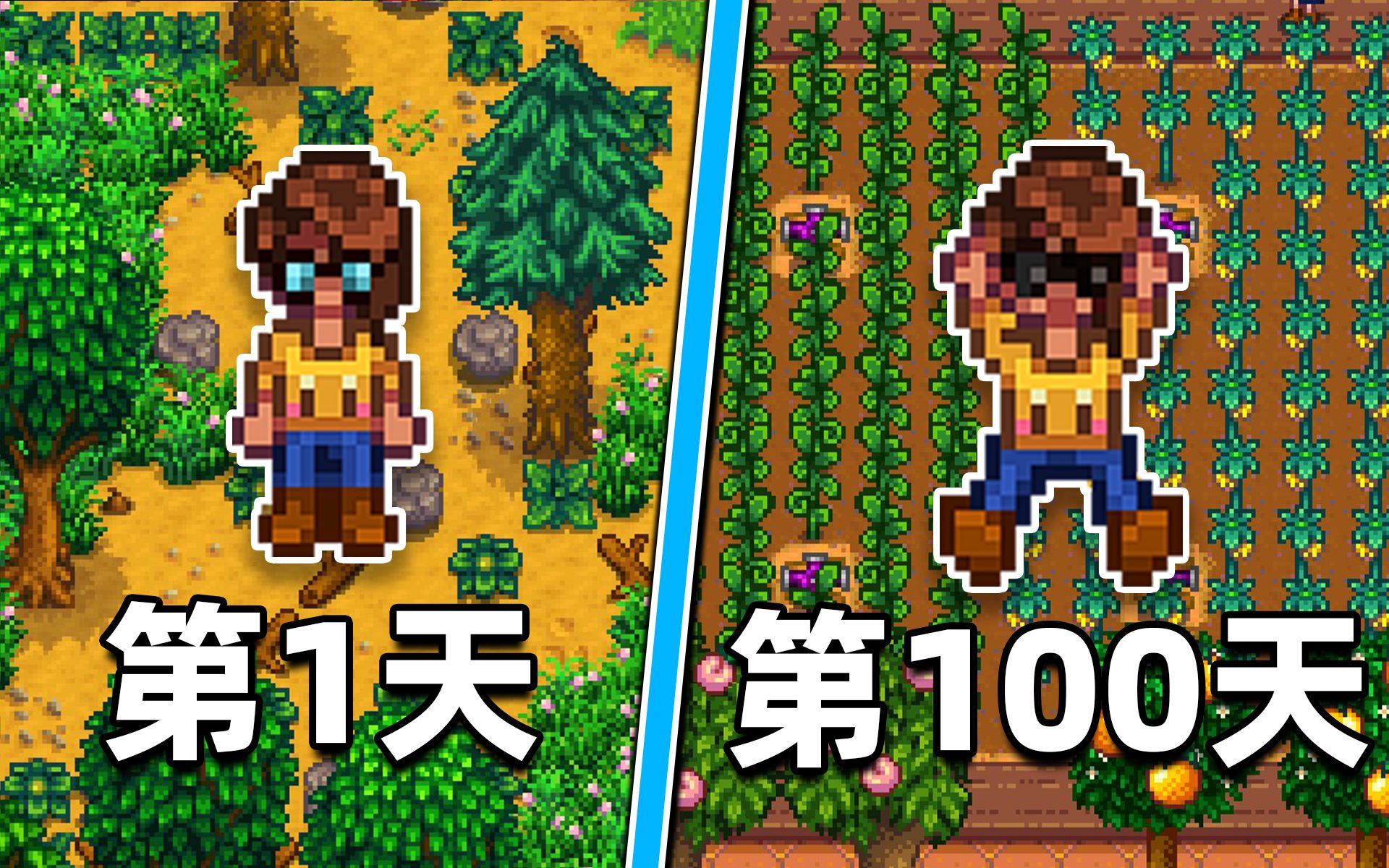 四位UP主的农场生活！【星露谷】#5-ShimmerPie嘉封-ShimmerPie嘉封-哔哩哔哩视频