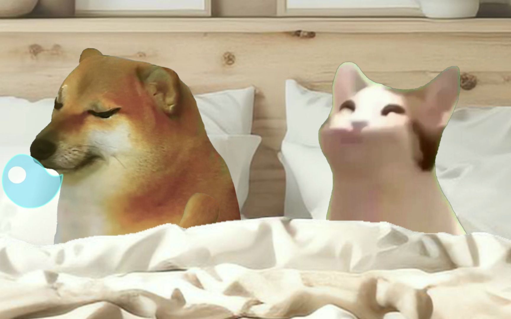 牛顿发现了万有引力，我发现了你对我的吸引力-cheems小电影-cheems小电影-哔哩哔哩视频