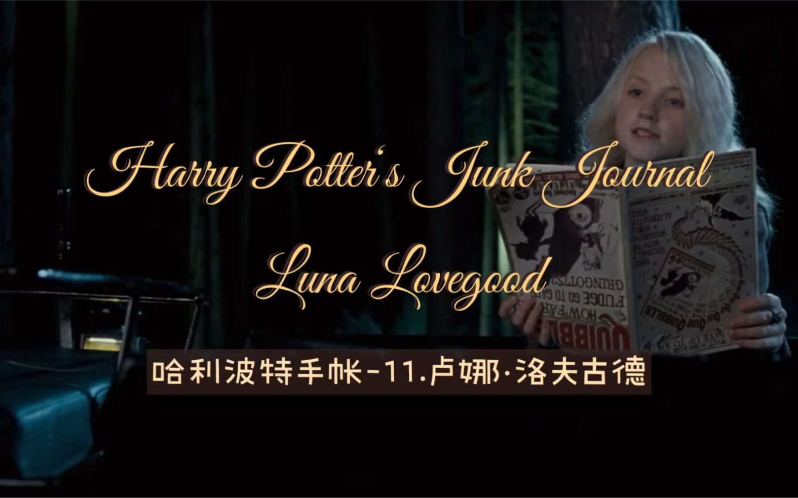 细节！哈利波特手帐 11.卢娜 洛夫古德-魔药女巫yuki-魔药女巫yuki-哔哩哔哩视频