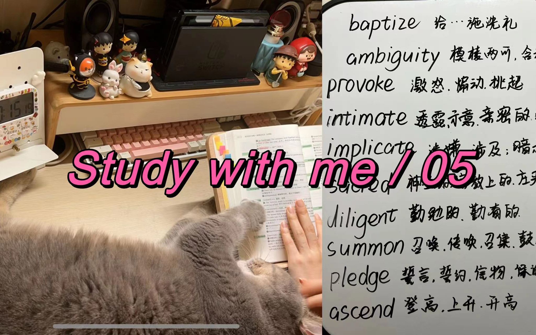 Study with me | Day 05 | 有猫猫陪伴真的是一件幸福的事情_哔哩哔哩_bilibili