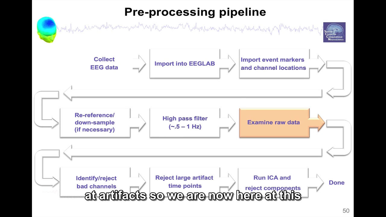 EEGLAB官网 Online tutorial 2016 EEGLAB preprocessing part_哔哩哔哩_bilibili