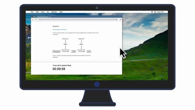 【线上AP考试流程】AP 2020 Exams - Exam Walkthrough【搬自College Board】_哔哩哔哩_bilibili