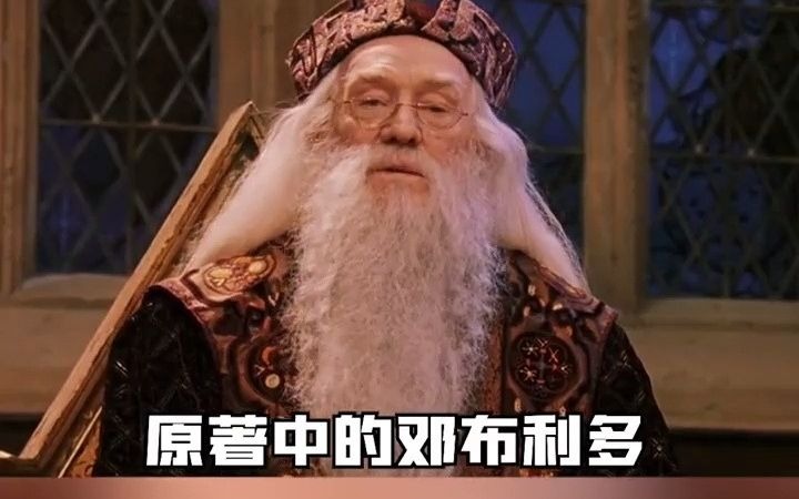 【哈利波特】霍格沃茨最伟大的校长，远比大家想象中更加伟大！_哔哩哔哩_bilibili