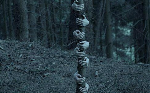 【SCP细思恐极系列】SCP-951-JP 幻痛蘑菇(暂译) 如手臂般的蘑菇紧抓不放着_哔哩哔哩 (゜-゜)つロ 干杯~-bilibili