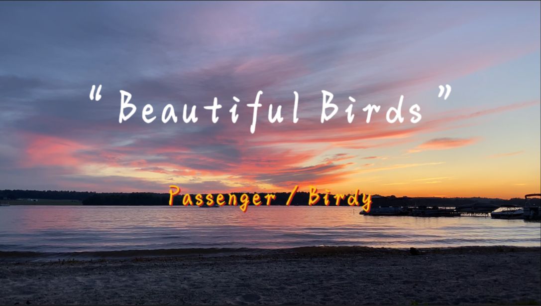 “听着这歌，眼睛竟不知不觉湿润了。”《Beautiful Birds》-Sean_Dream-Sean_Dream-哔哩哔哩视频