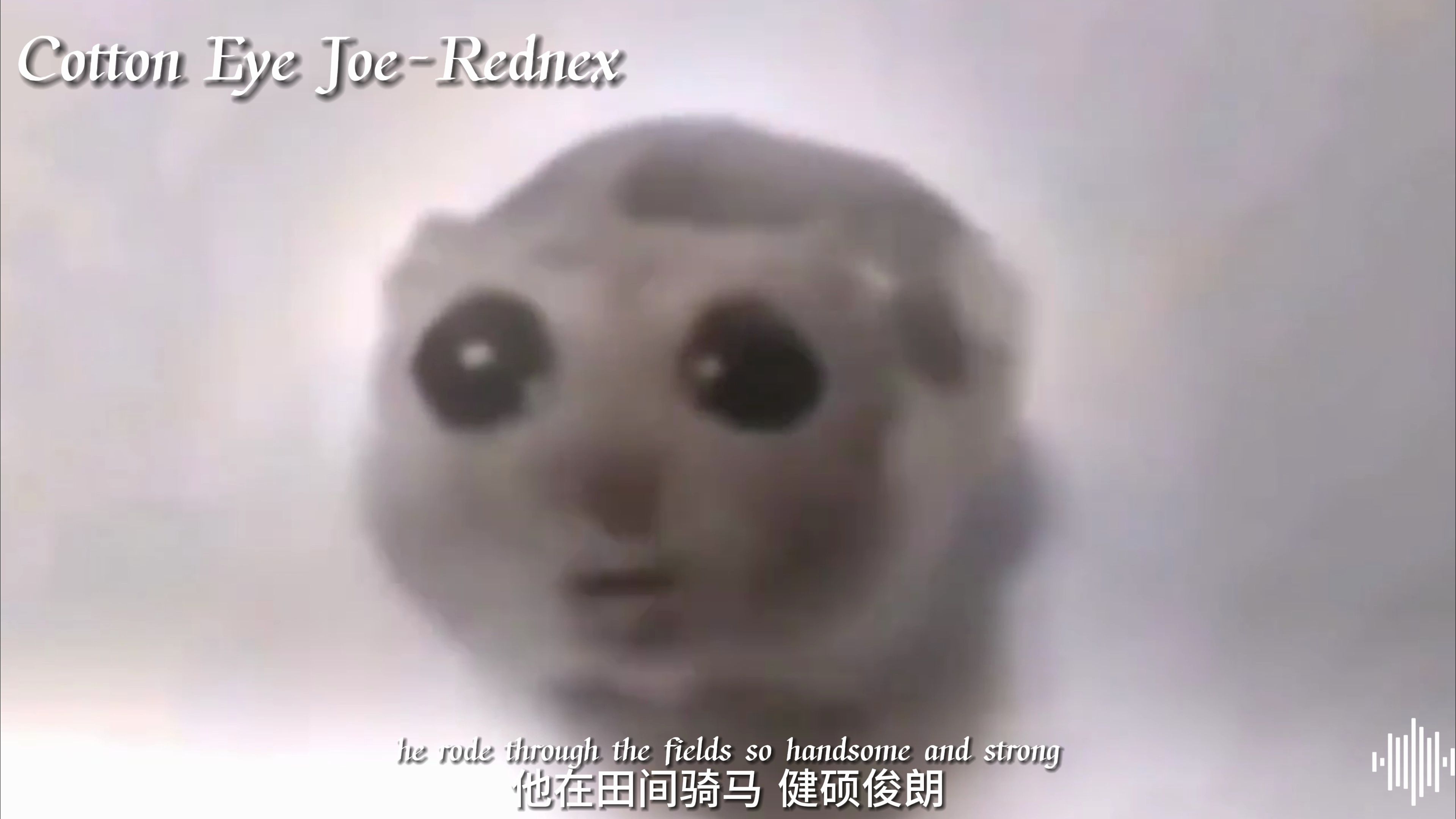 |Hi-Res无损音质|《出生の小曲》Cotton Eye Joe“🤣🤣🤣🤣🤣”——Rednex-FF200-炸房必备-哔哩哔哩视频