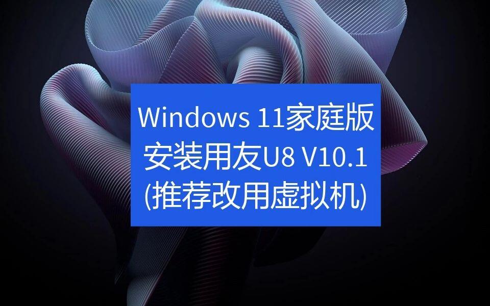 Win11家庭版安装用友U8 V10.1教程（含3种失误的纠正办法） - 哔哩哔哩