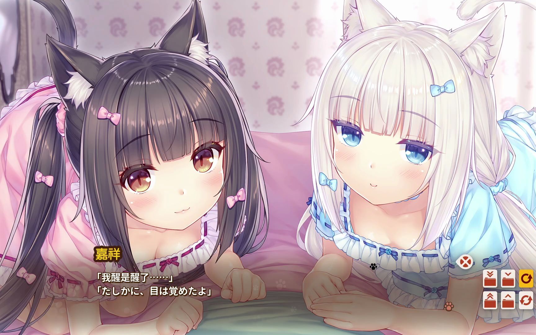 PC+krkr分享猫娘乐园4 - 视频下载 Video Downloader