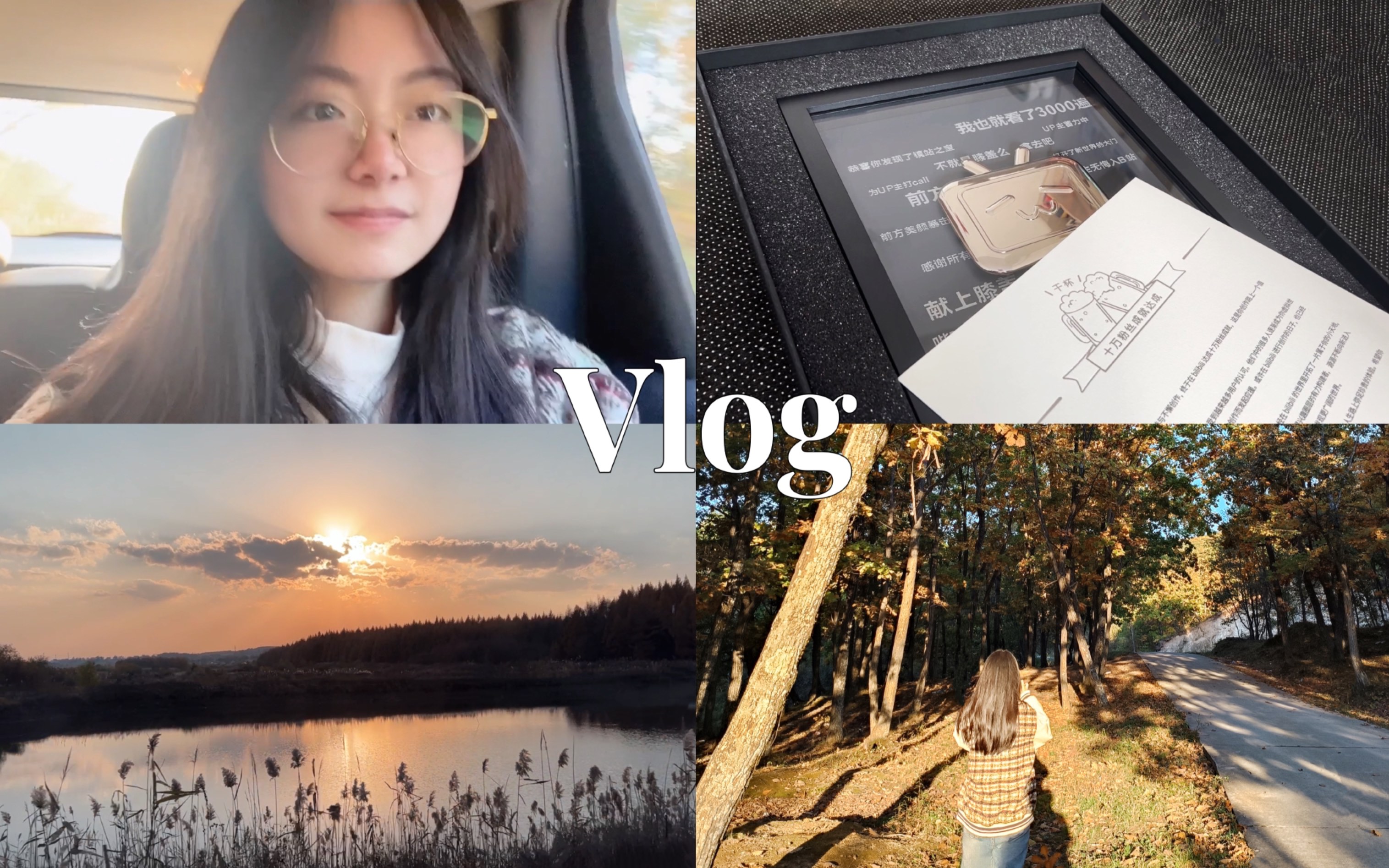 一个秋天vlog-拣尽南枝-拣尽南枝-哔哩哔哩视频