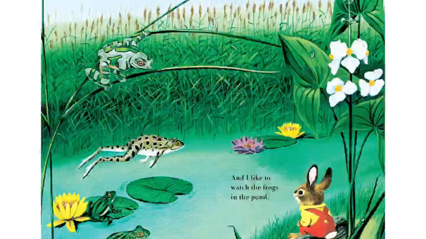 读《I am a bunny》_哔哩哔哩_bilibili