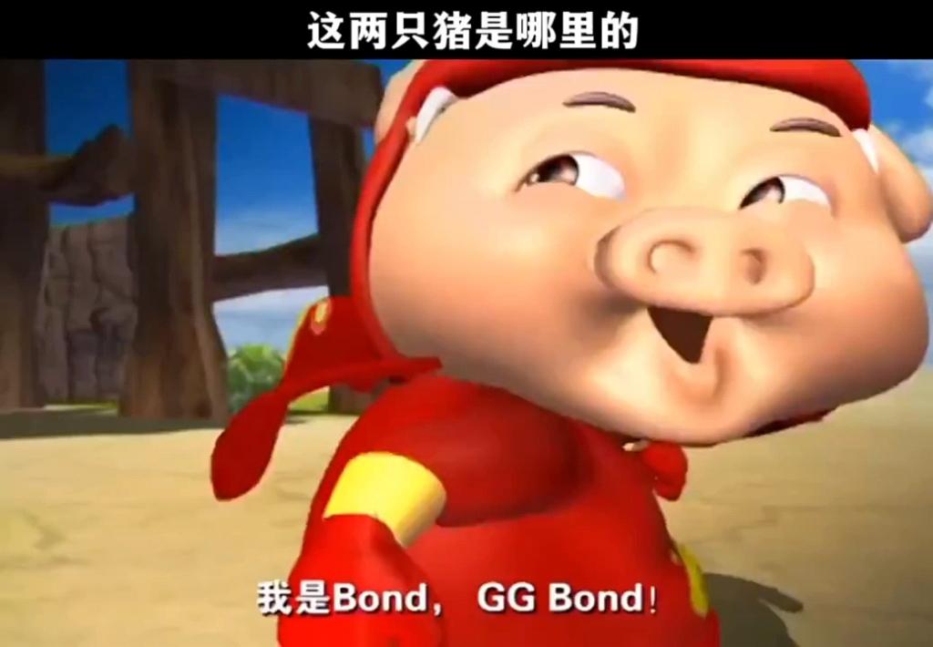垃圾bond