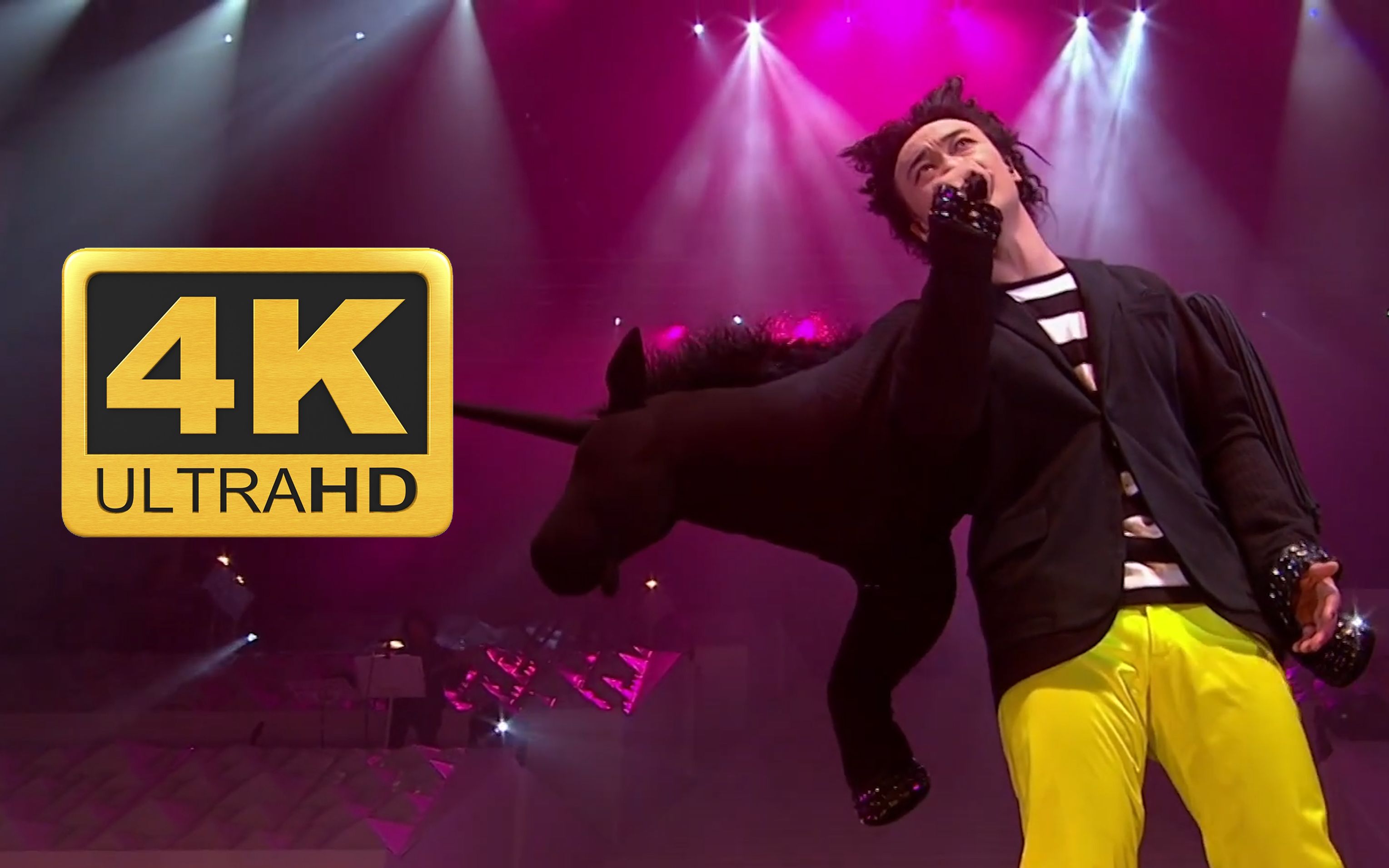 视频去哪了？-八戒快跑1-live-哔哩哔哩视频