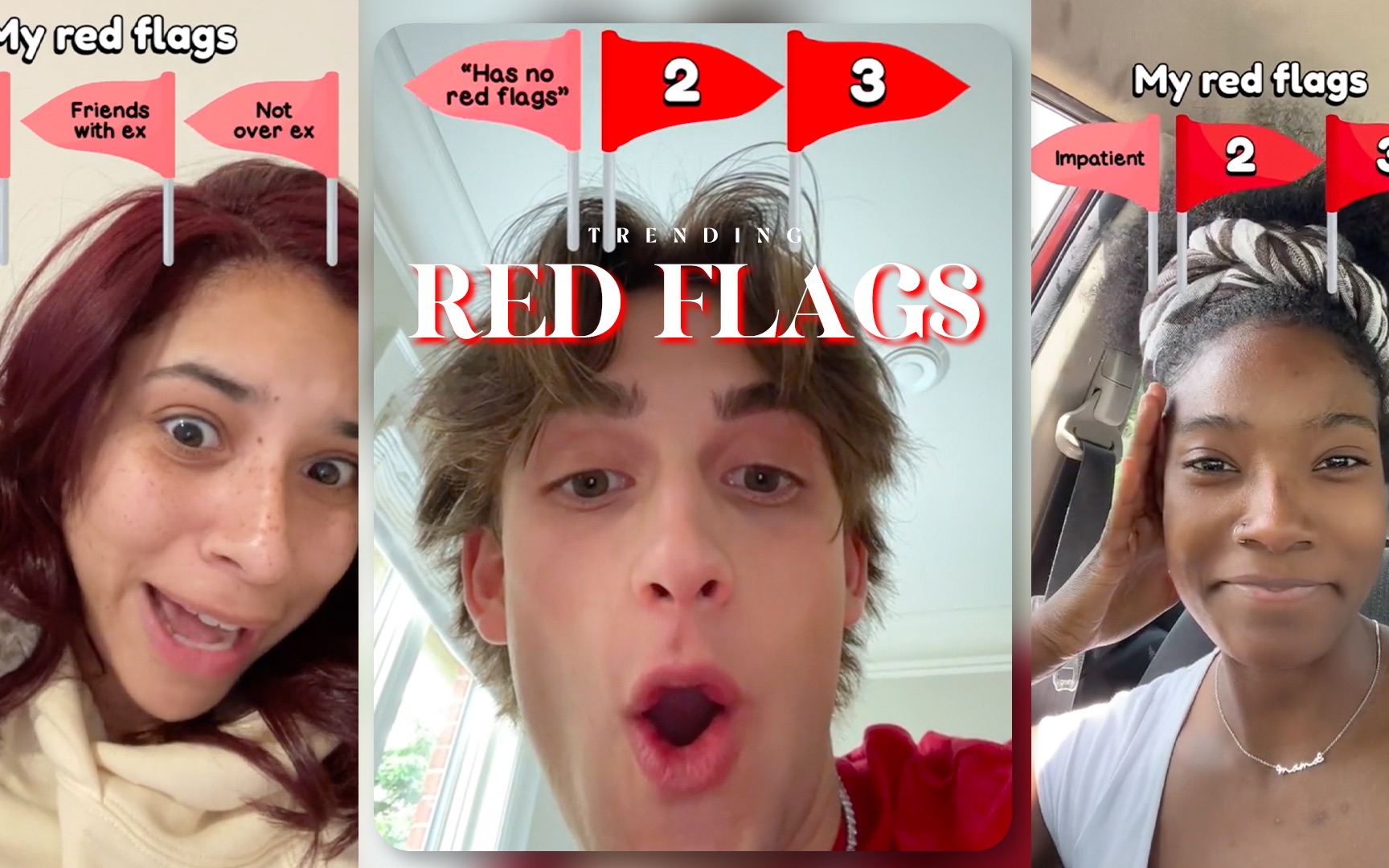 被Red Flags滤镜准确拿捏的互联网人～-FUNNY-ANIMALS-FUNNY-ANIMALS-哔哩哔哩视频