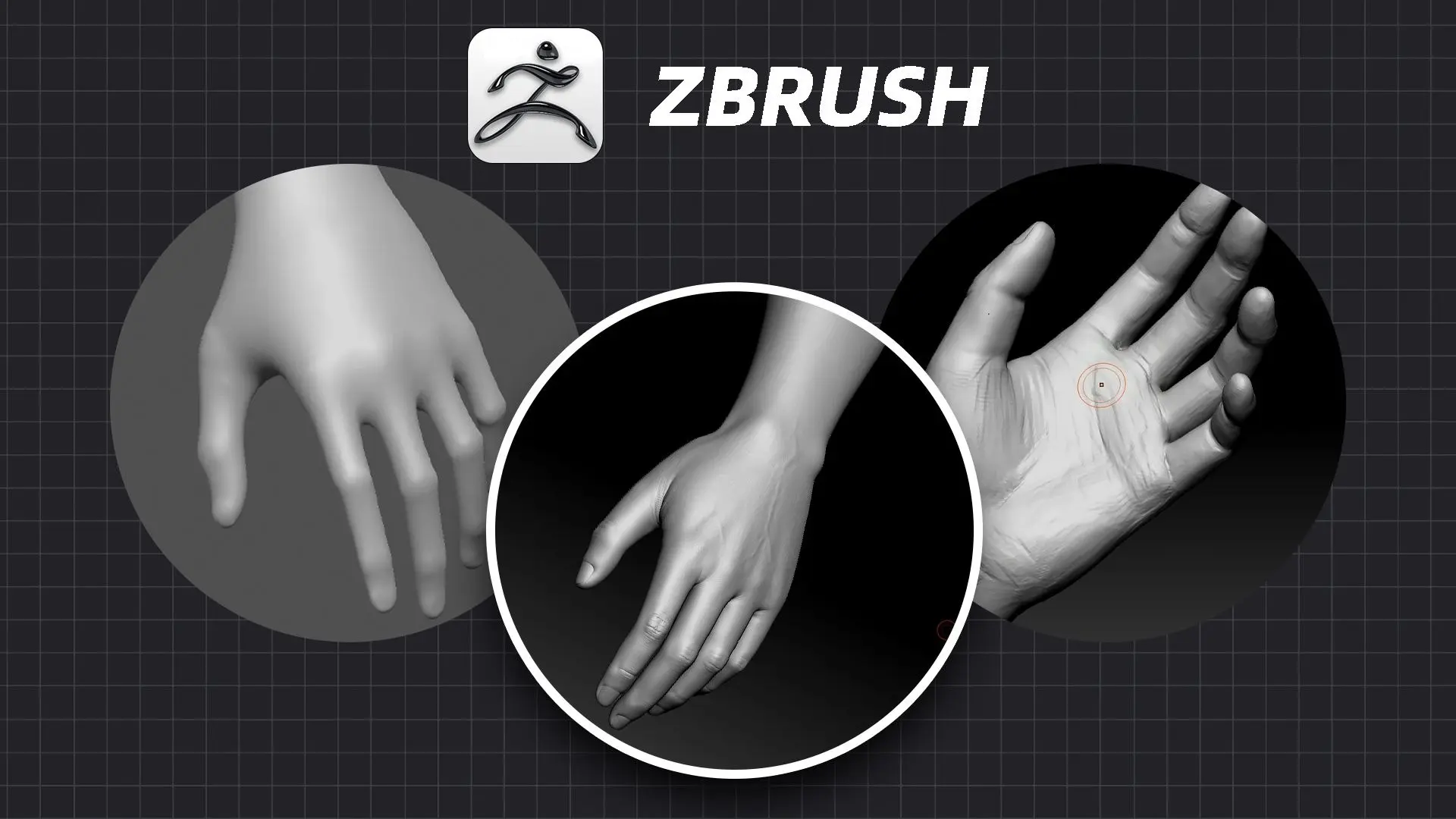 10个G的零基础zbrush人体雕刻教程【手的详细教学】，不花钱也能学到付费的核心内容！_哔哩哔哩_bilibili