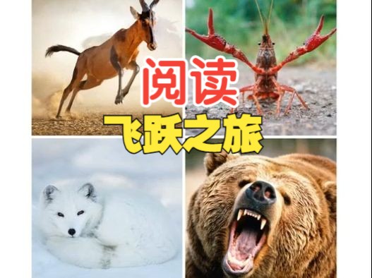 RAZ M·81本(全)丨总词汇：46774词【阅读丨飞跃之旅·蓝标·RAZ】-惊叹号的英语世界-惊叹号的英语世界-哔哩哔哩视频