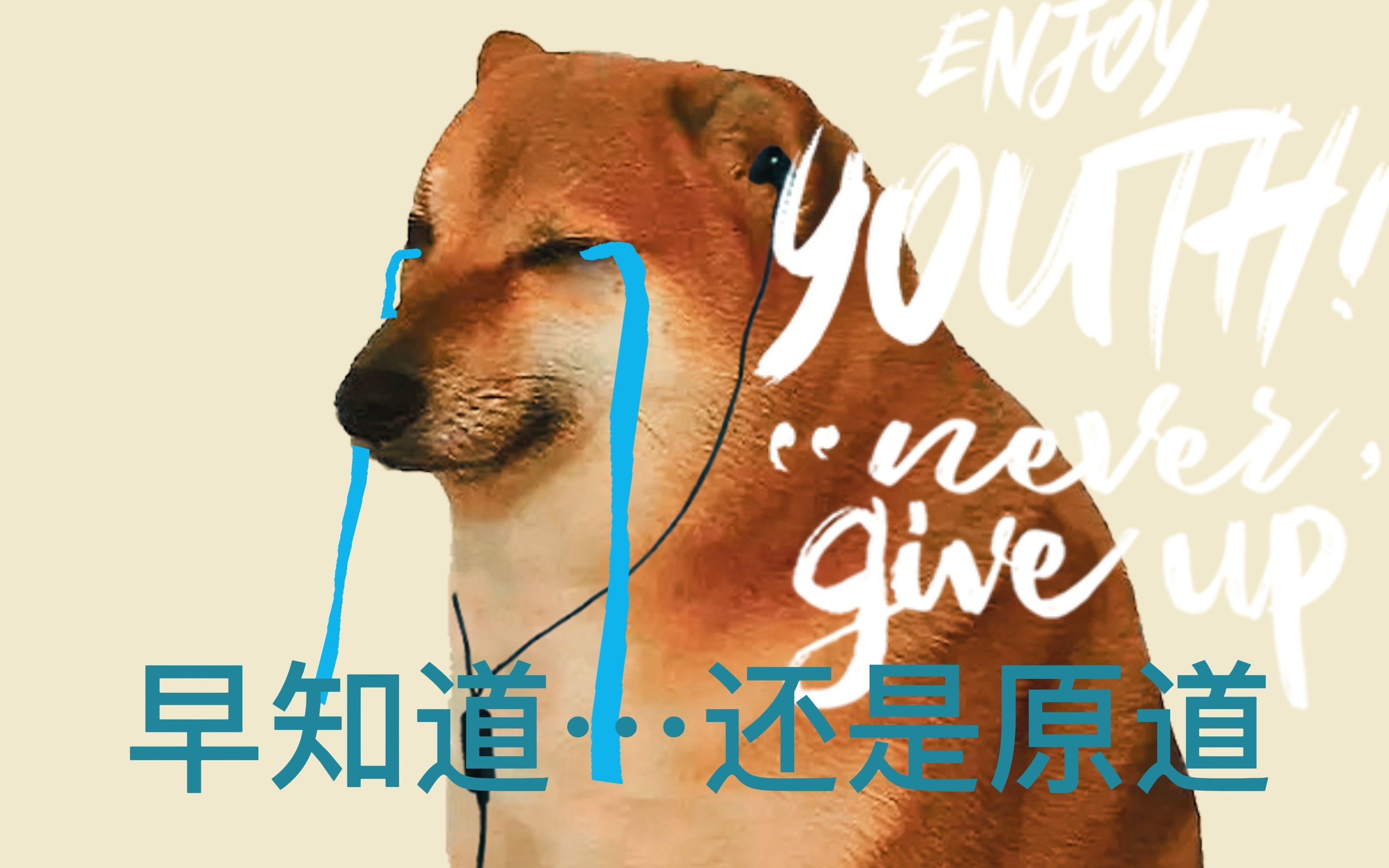 早知道还是原道表情包-千图网