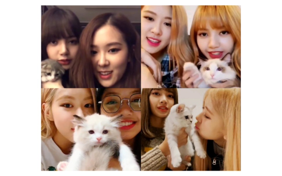 【lisa's cat】PART7 lisa&rosé直播介绍leo luca lily louis cut_哔哩哔哩_bilibili
