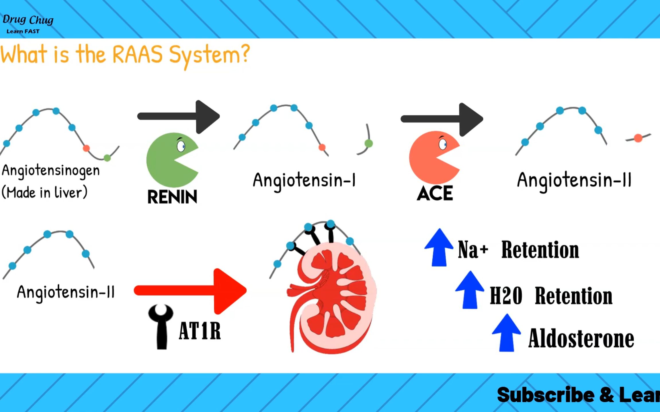 【英语双字】RAAS系统_哔哩哔哩_bilibili