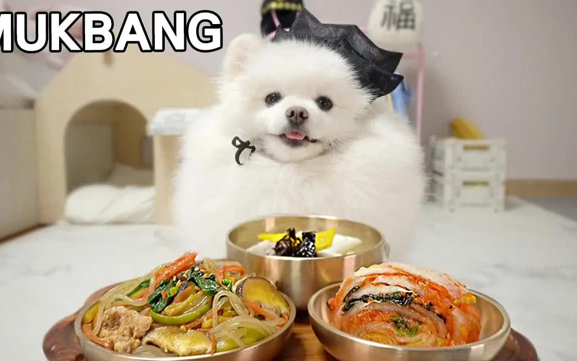 狗狗失眠啦【韩国博美犬RUDY&PONGKI】【搬什么搬运】