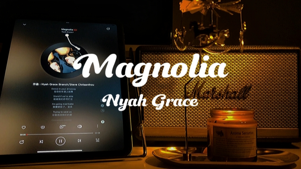 “适合微醺的时候听 氛围感拉满空气都拉丝了”《magnolia》｜日推歌单-Lohas-VII-Lohas-VII-哔哩哔哩视频