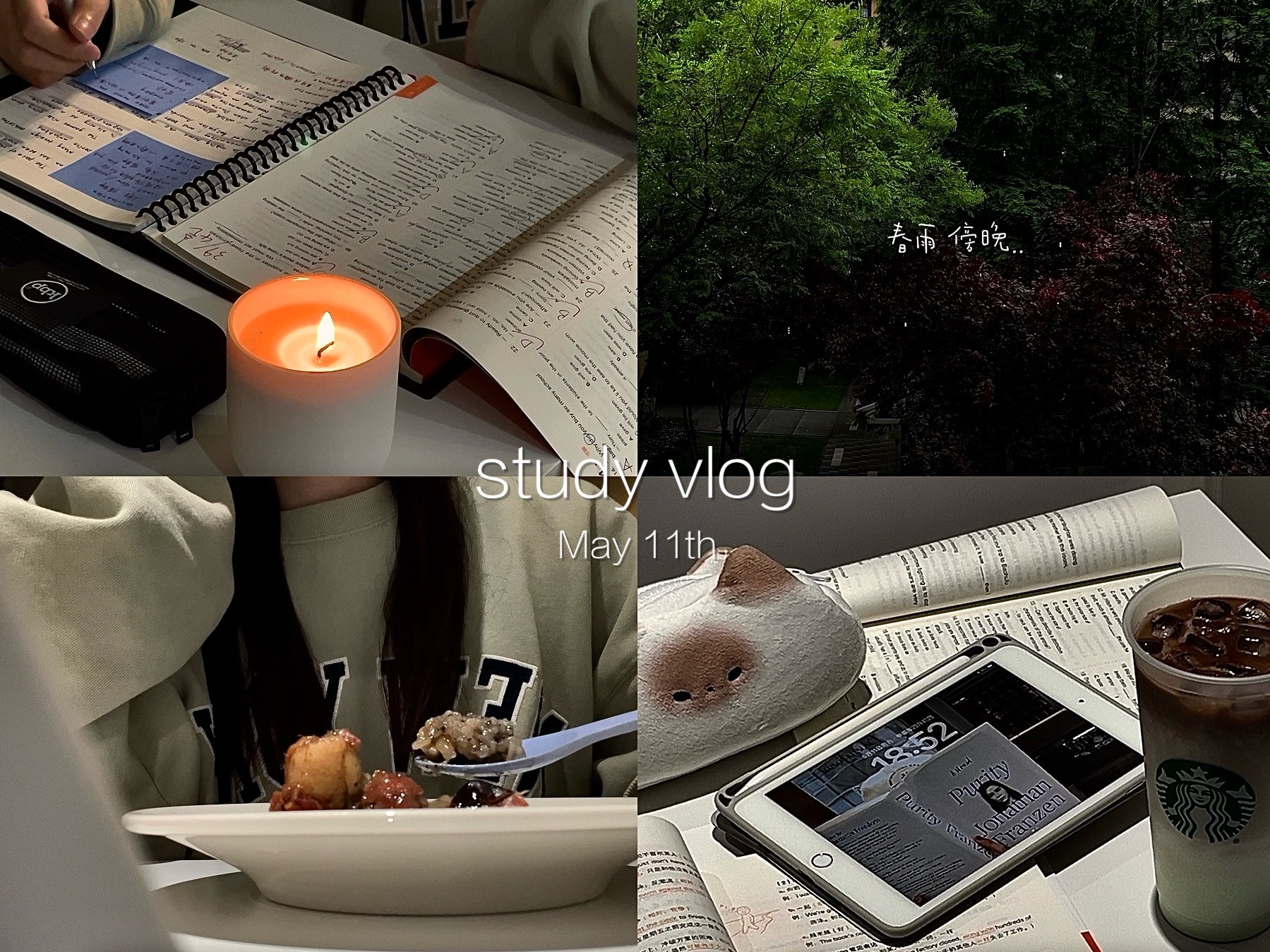 StudyVlog｜下过春雨的傍晚像首诗*独处日记🕰️-是夏ovoo-是夏ovoo-哔哩哔哩视频