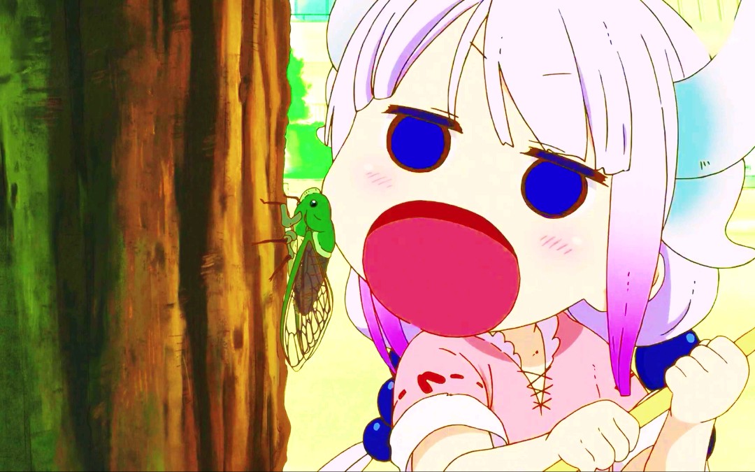 康纳吃播现场_哔哩哔哩_bilibili