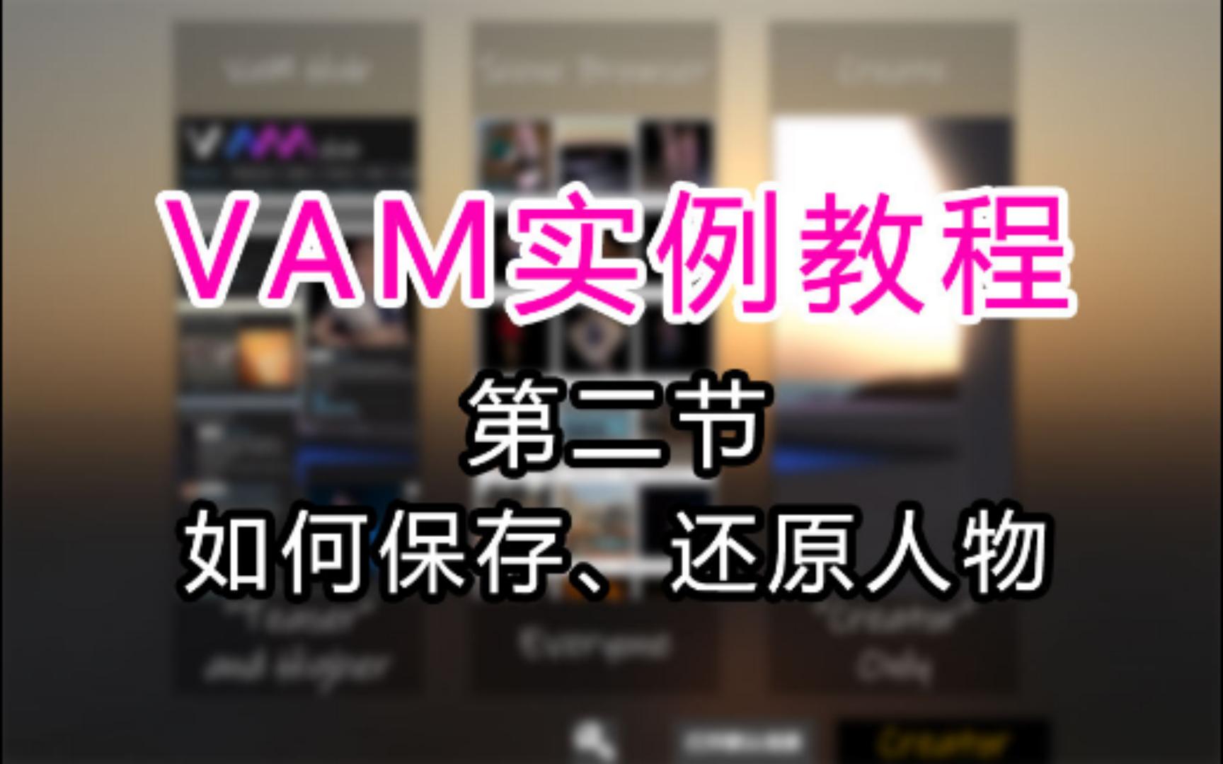 《VAM实例教程》第1节：如何更换启动界面三张图片