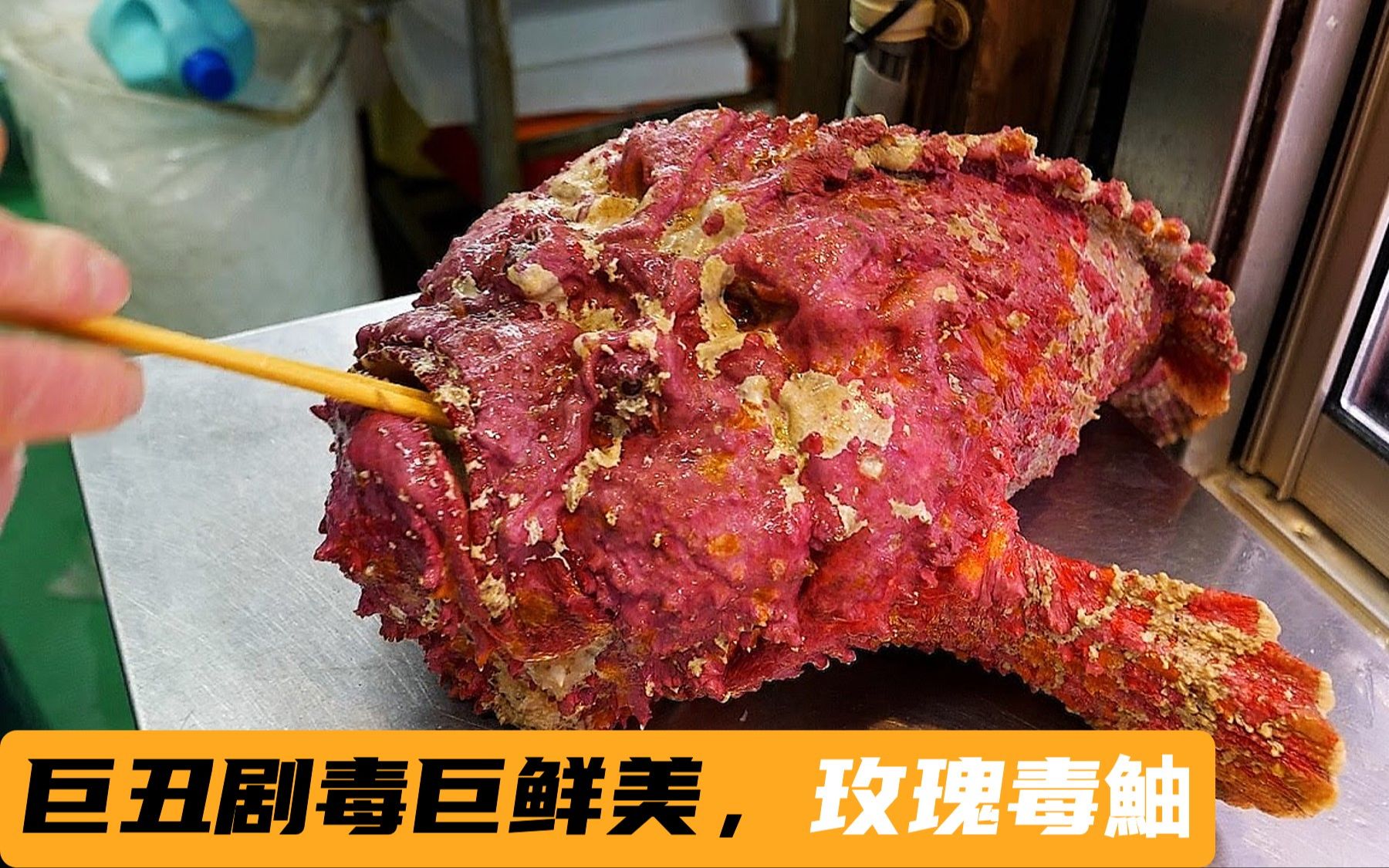 巨丑剧毒，却巨鲜美，还有一个好听的名字，玫瑰毒鮋！-国际美食研究僧-国际美食研究僧-哔哩哔哩视频