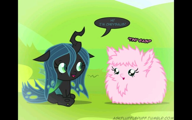 Baby Fluffle Puff and Chrysalis_哔哩哔哩_bilibili