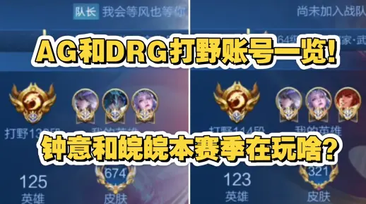 [KPL春季赛/决赛选手账号一览]AG钟意和DRG皖皖账号一览&两位打野本赛季在玩啥&决赛科研英雄猜测_哔哩哔哩_bilibili