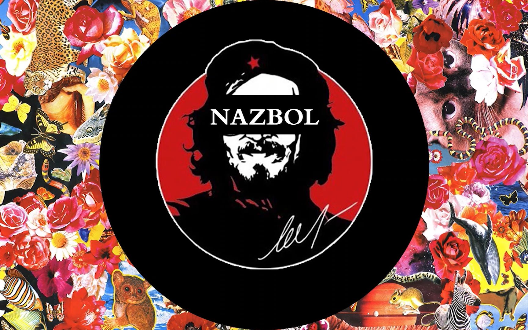 NAZBOL GANG_哔哩哔哩_bilibili