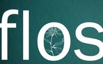 『flos』歌词翻译 by PJS字幕组 - 哔哩哔哩