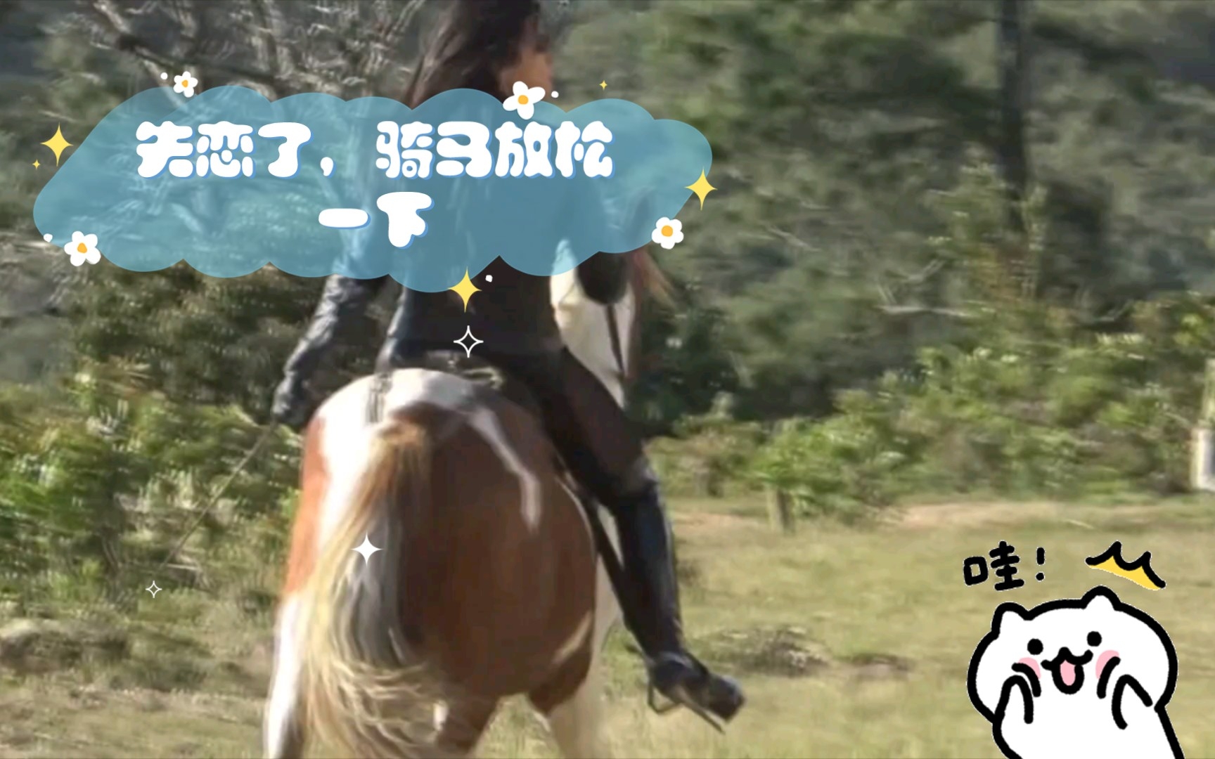 CL8565骑马（狠驯马）