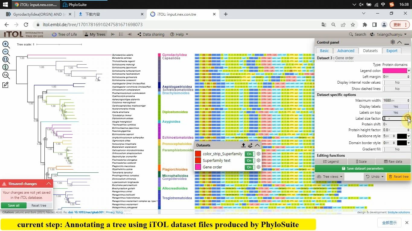phylosuite软件使用-BITTERSWEETlks-BITTERSWEETlks-哔哩哔哩视频
