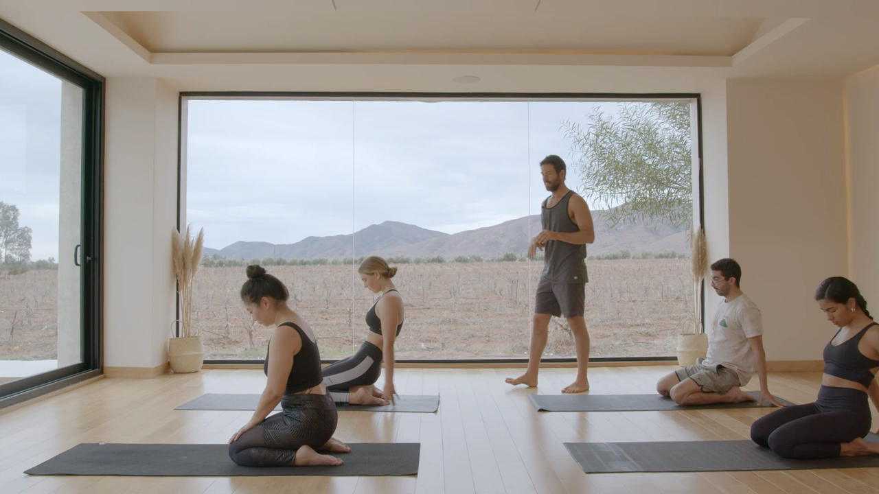 25分钟力量瑜伽排毒流程｜Yoga with Tim｜2.28更新_哔哩哔哩_bilibili