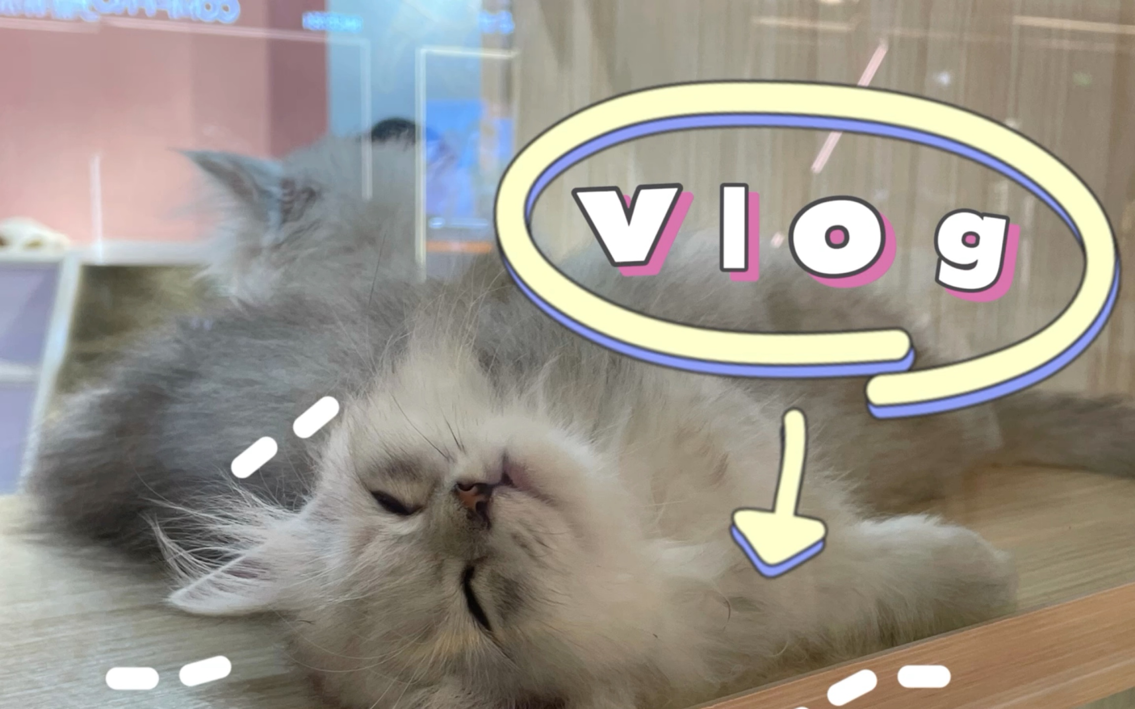 无聊整理相册顺便剪了一个vlog_哔哩哔哩_bilibili