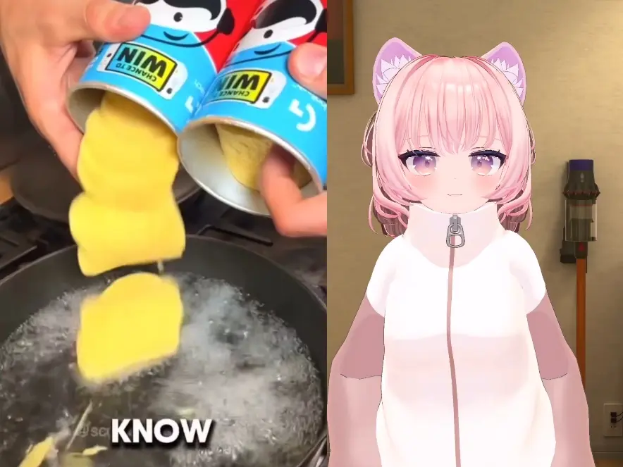 无数人绞尽脑汁做出来的酥脆薯片最终让你变成了一碗糊糊_哔哩哔哩_bilibili